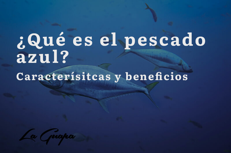 ¿Qué es el pescado azul? Descúbrelo - La Guapa Menorca